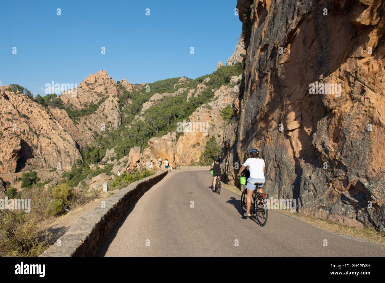Corse-du-Sud department (Southern Corsica): cyclists on the B road D81 ...
