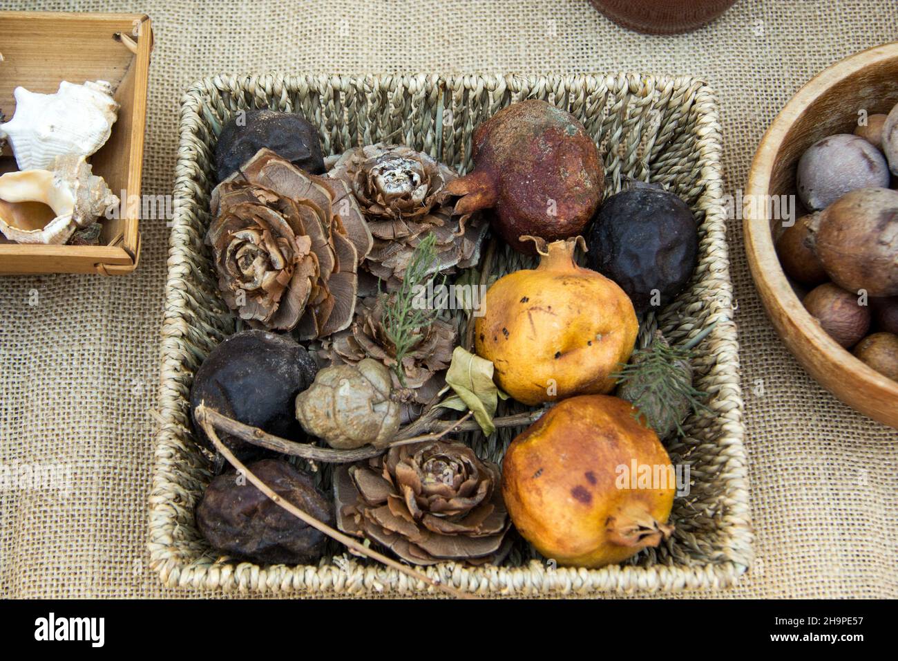 Medieval herbarium hi-res stock photography and images - Alamy