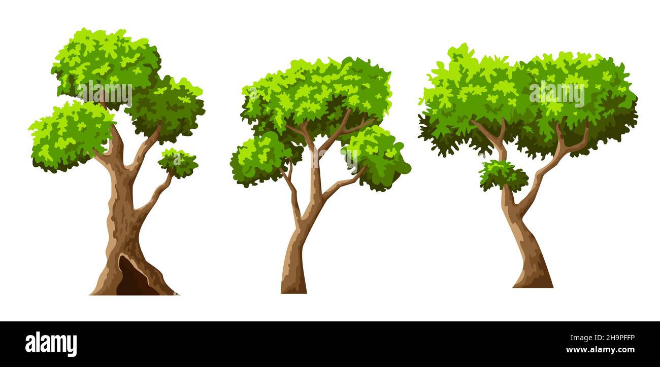 Set of trees with green foliage in cartoon style. Vector in flat ...