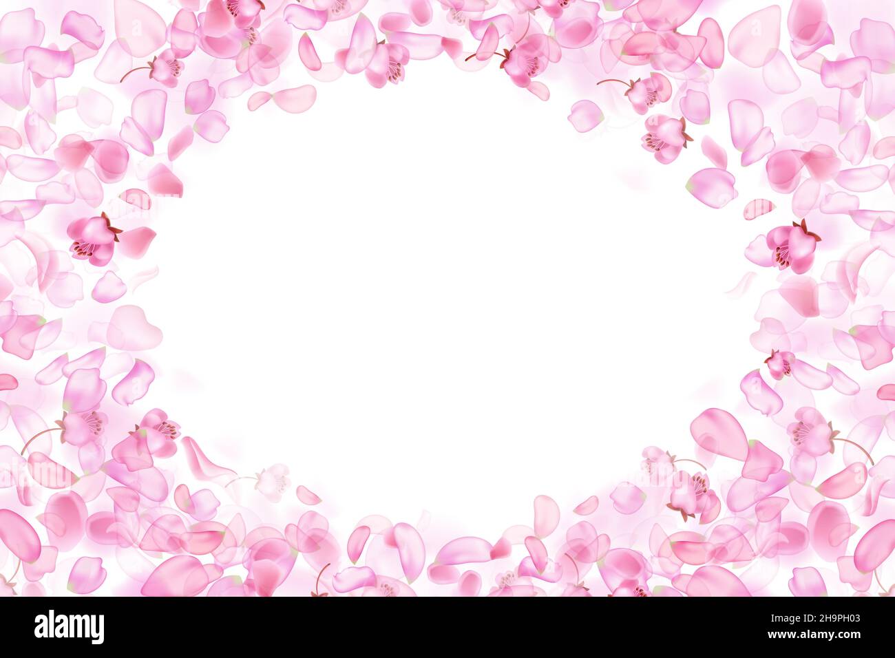 Nature horizontal background.Pink falling sakura petals and flowers ...