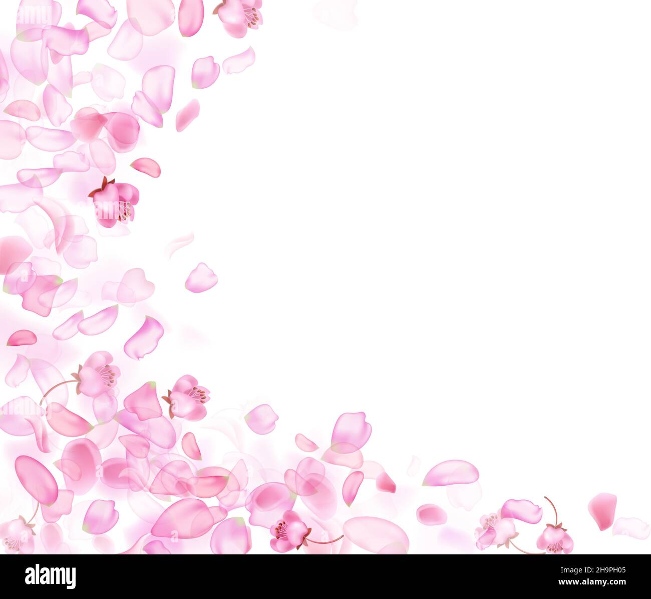Nature horizontal background.Pink falling sakura petals and flowers ...