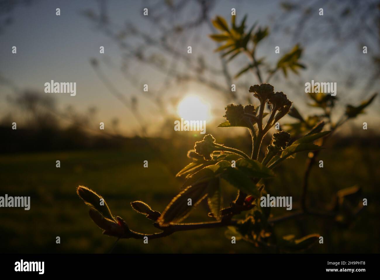 Hike at sunset hi-res stock photography and images - Alamy