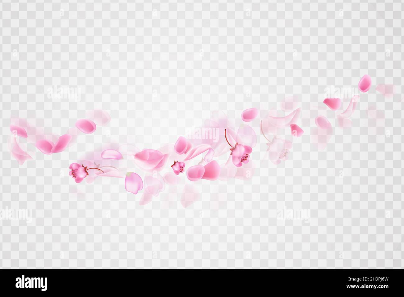 Nature horizontal background.Pink falling sakura petals and flowers ...