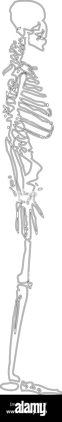 Skeleton human foot silhouette Stock Vector Images - Alamy
