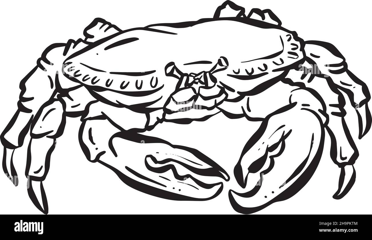 Crab Crustacean Shell Vector Cartoon Illustration Stock Vector Image ...