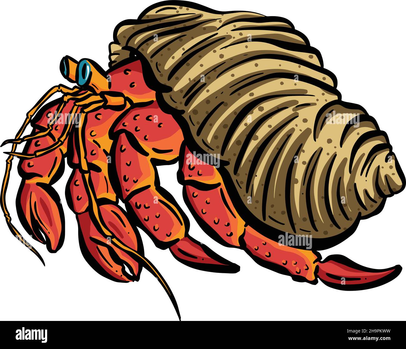 Crab Crustacean Shell Vector Cartoon Illustration Stock Vector Image ...