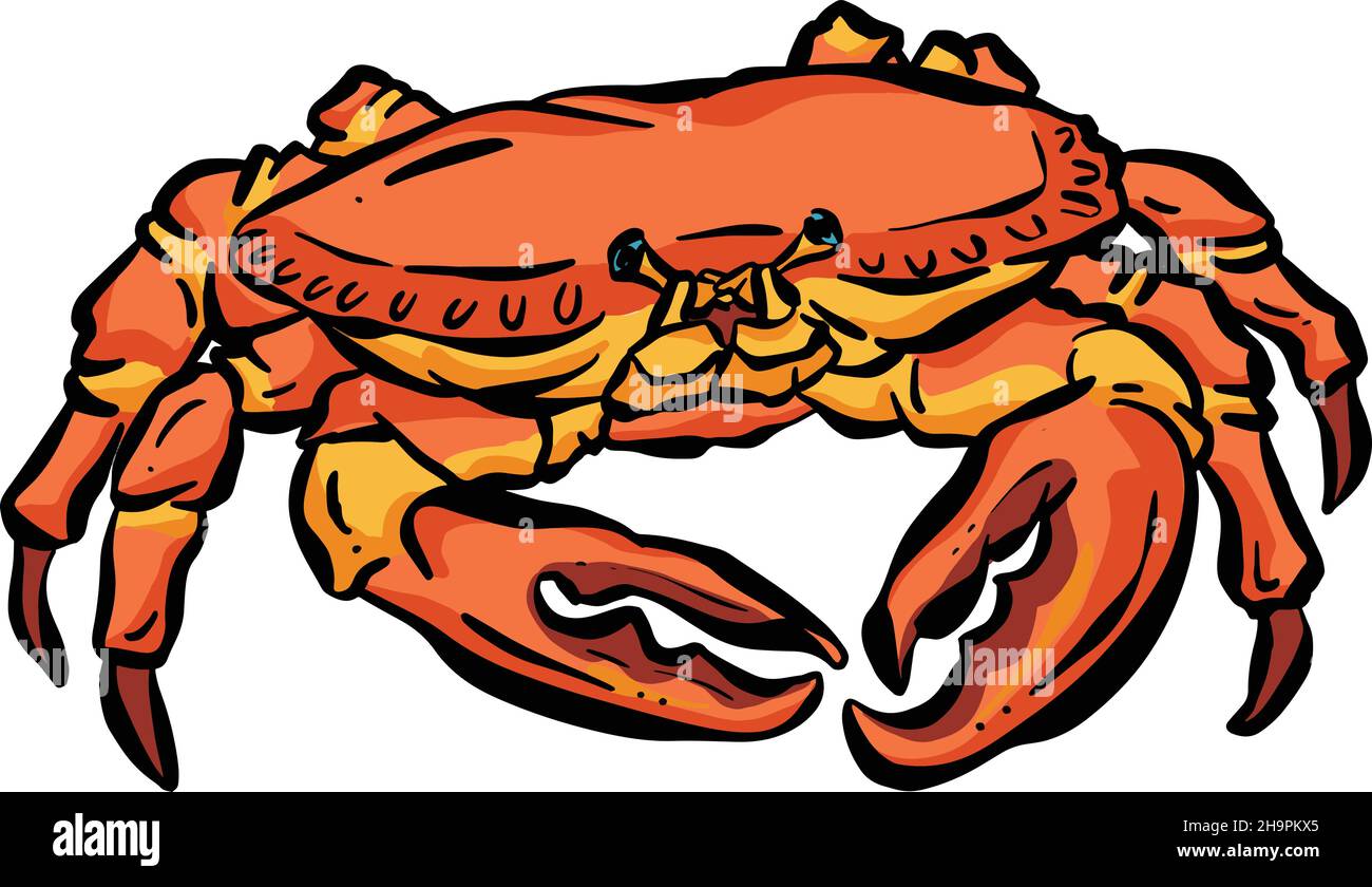 Crustaceans crustacean Stock Vector Images - Alamy