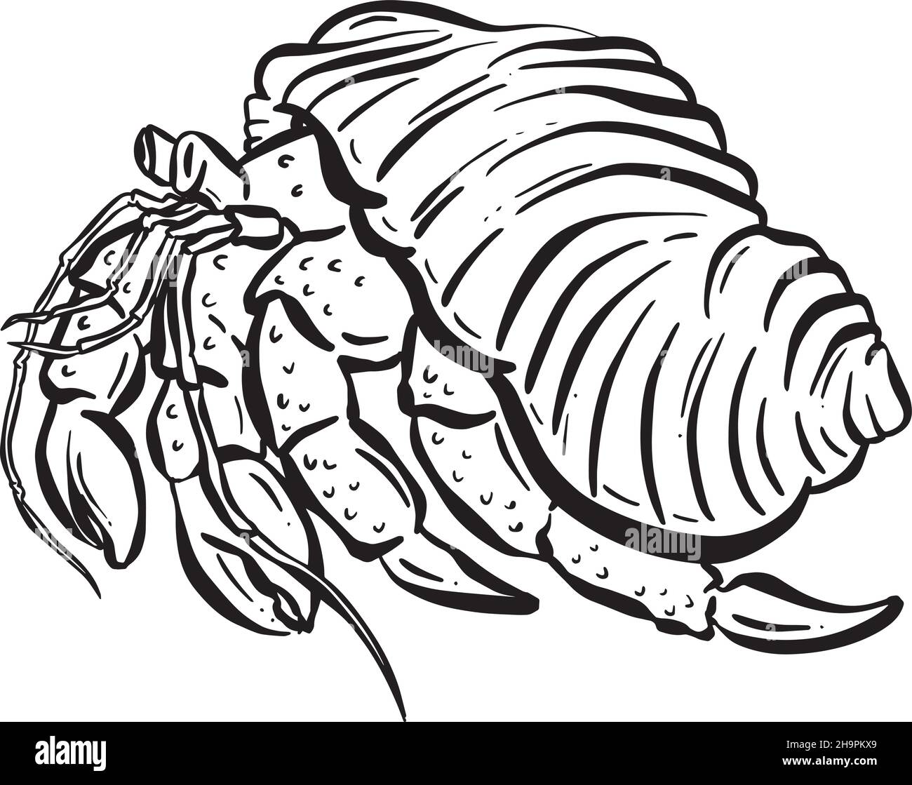 Crab Crustacean Shell Vector Cartoon Illustration Stock Vector Image ...