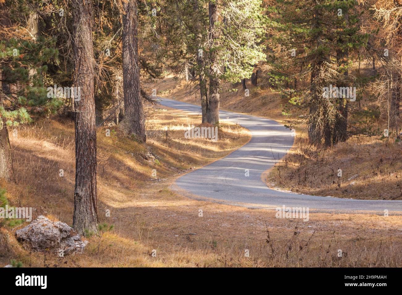 A secondary road long the woods at fall Stock Photo - Alamy