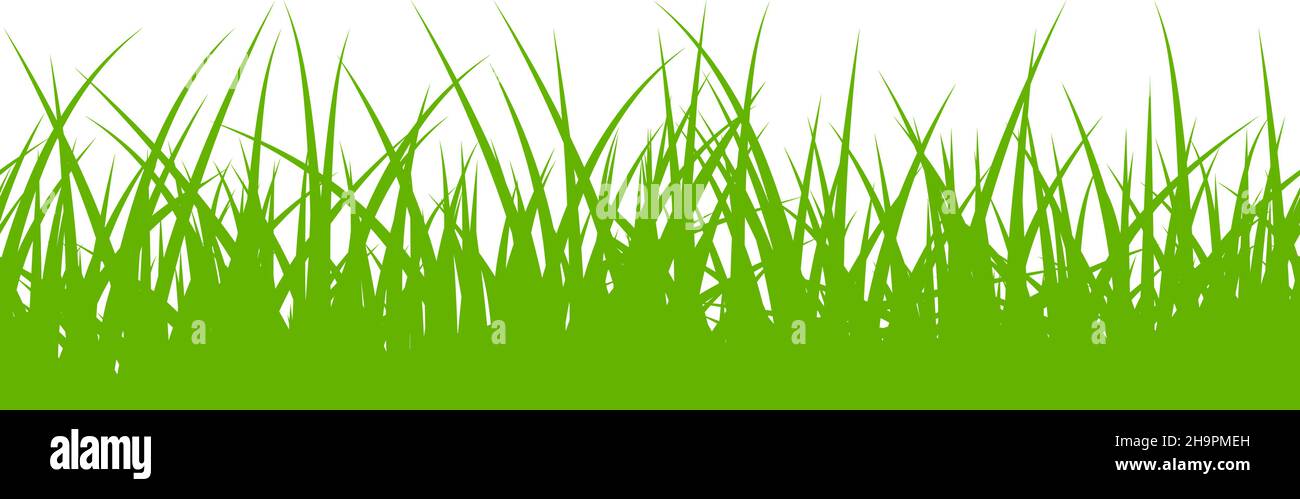 Grass pattern. Spring greenery. Seamless botanical border Stock Vector ...