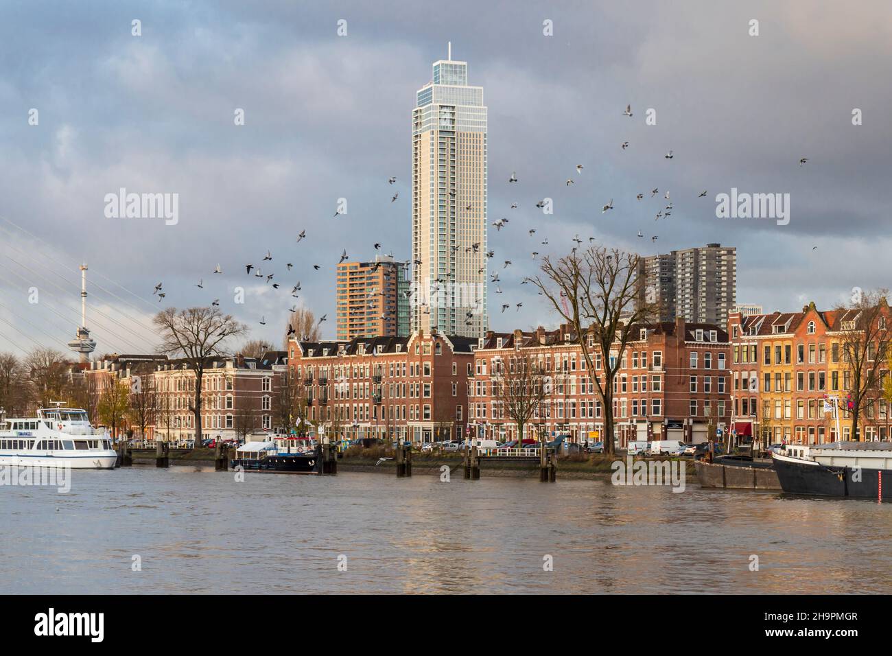 Rotterdam, Netherlands - 12-7-2021: Zalmhaven tower in Rotterdam as ...