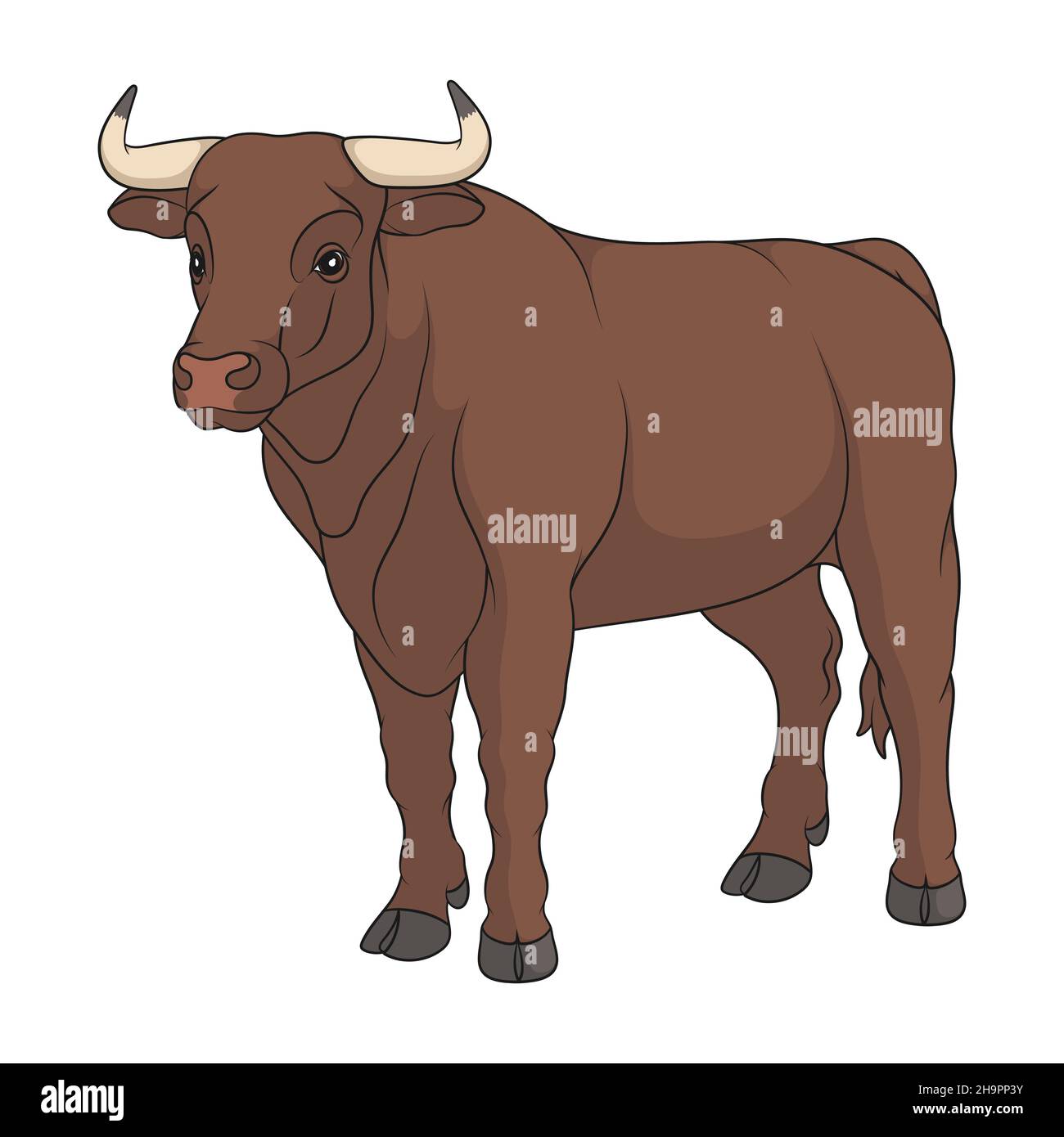 Color illustration with a bull, a cow. Isolated vector object on a ...