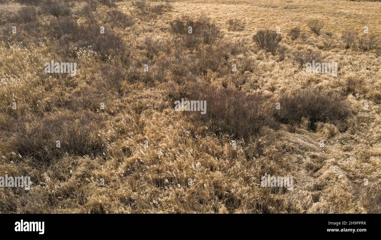 Rural wisconsin fields in autumn from above Stock Photo - Alamy
