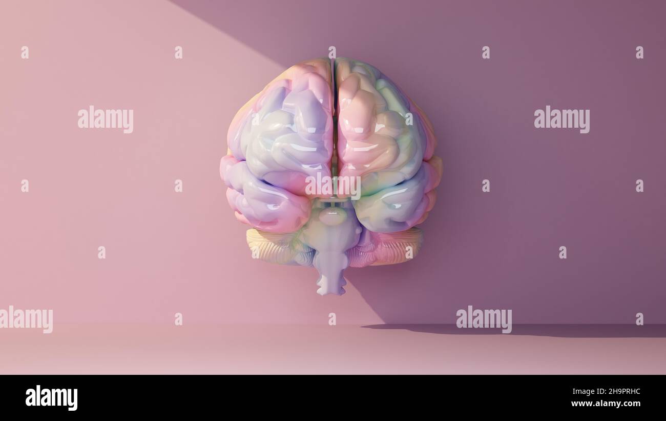 multicolored brain front view in a beam of light. 3d rendering Stock ...