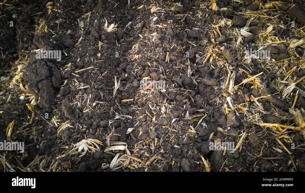 Farm in rural wisconsin hi-res stock photography and images - Alamy