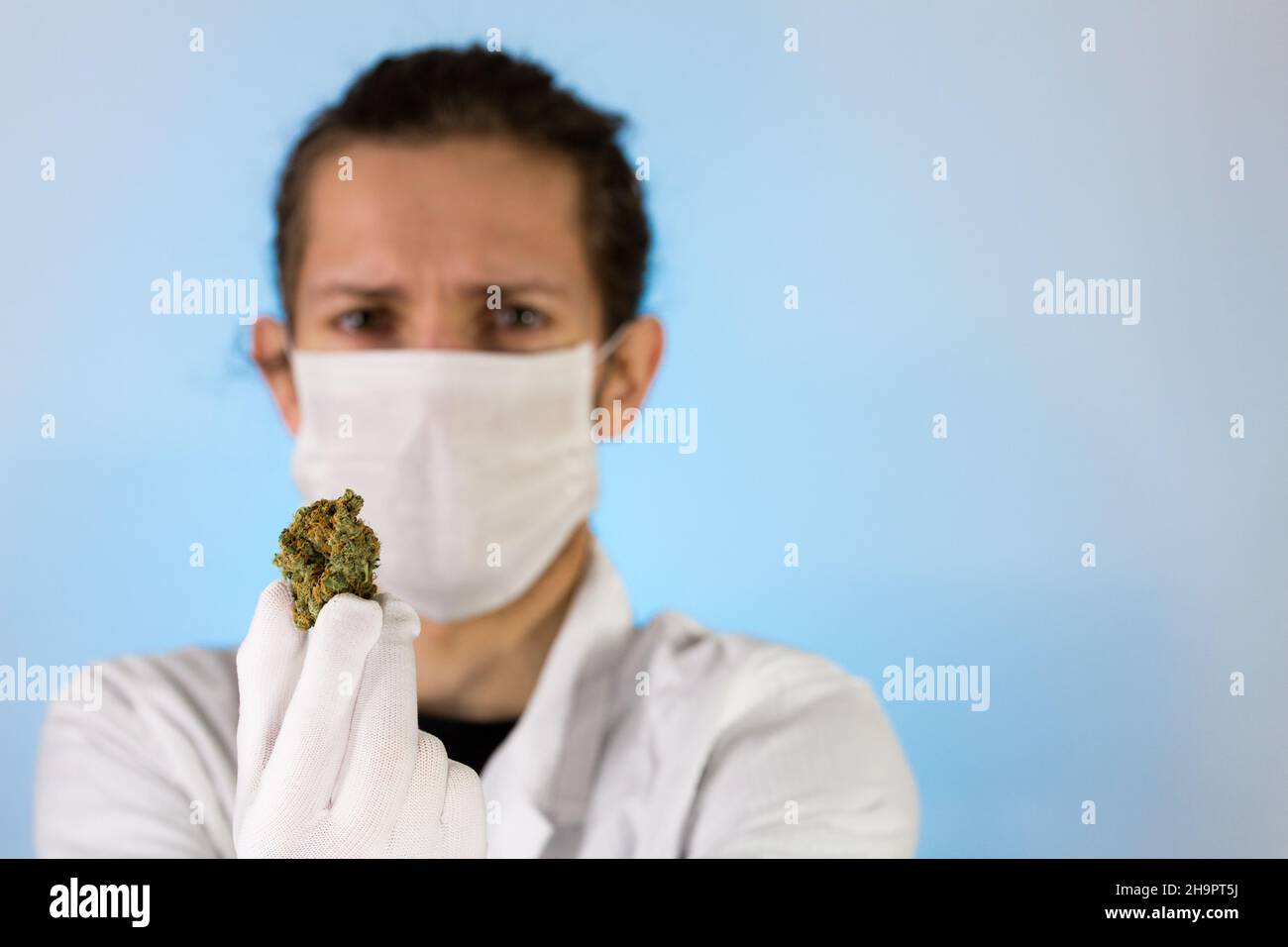 An adult male holding a bud of medical cannabis. He is wearing a white lab coat and face mask ...
