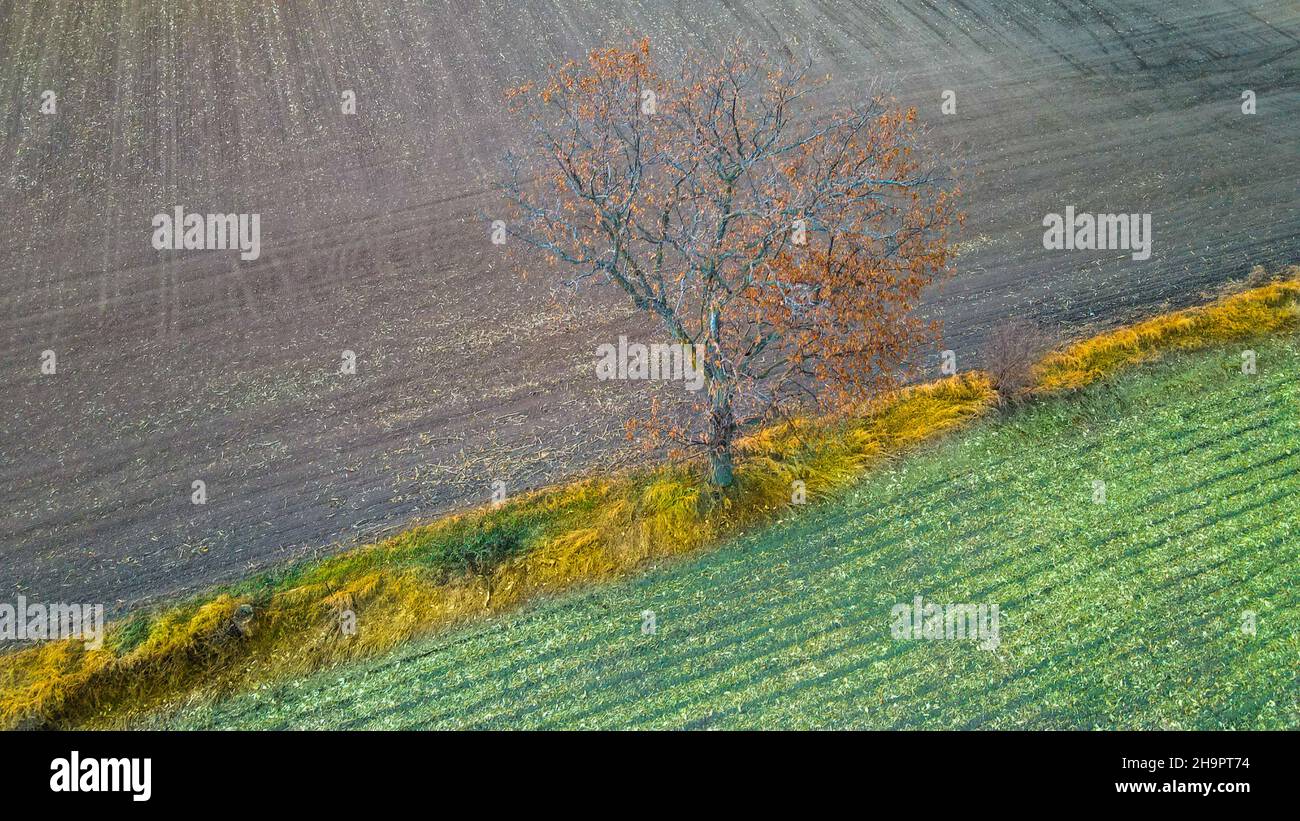 Rural abstract farm lands Stock Photo - Alamy