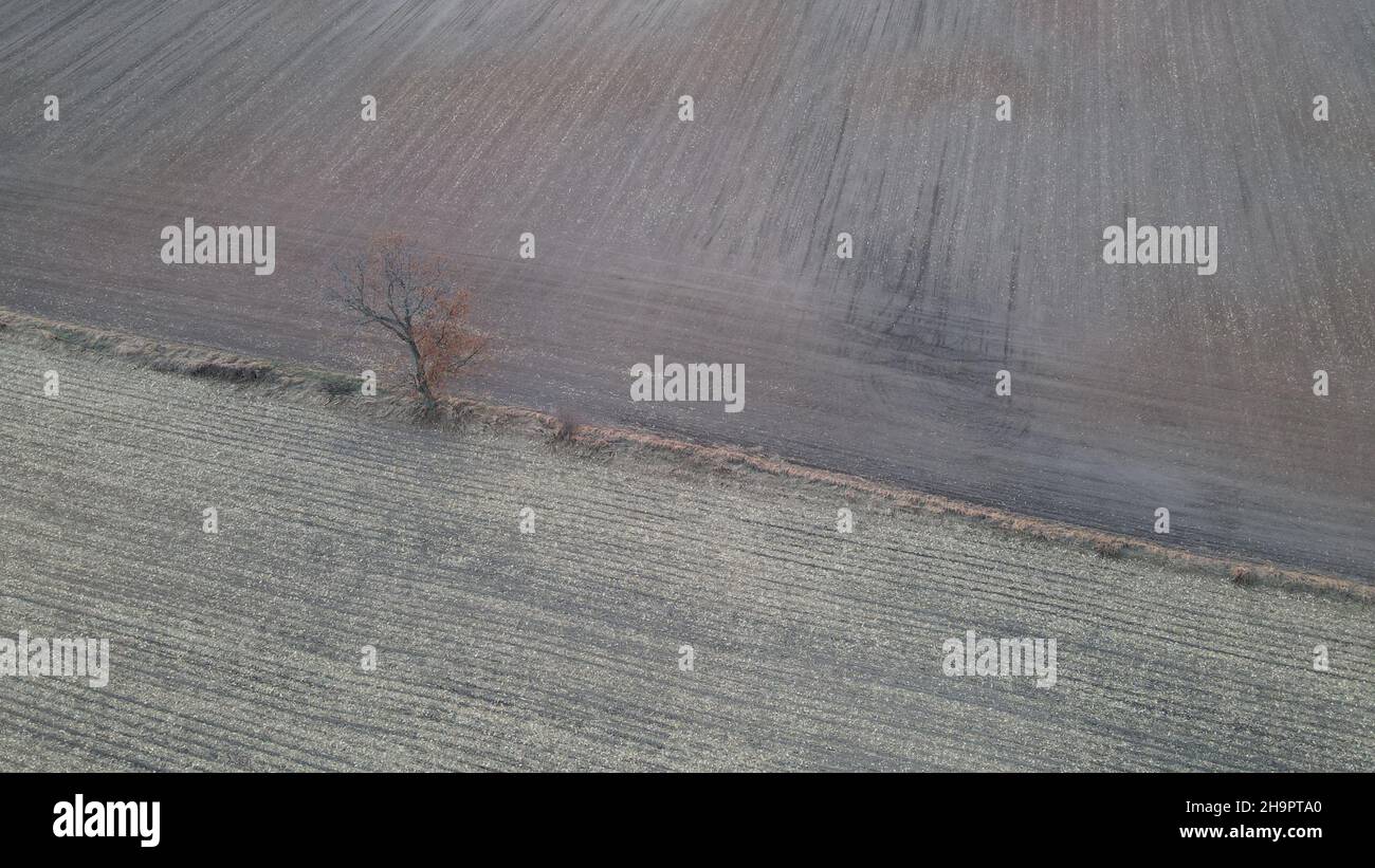 Agricultural Fields in Rural in Wisconsin Stock Photo - Alamy