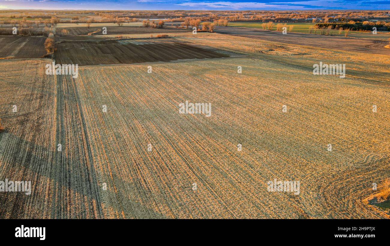 Agriculture farm fields cover Wisconsin along with woods and meadows ...