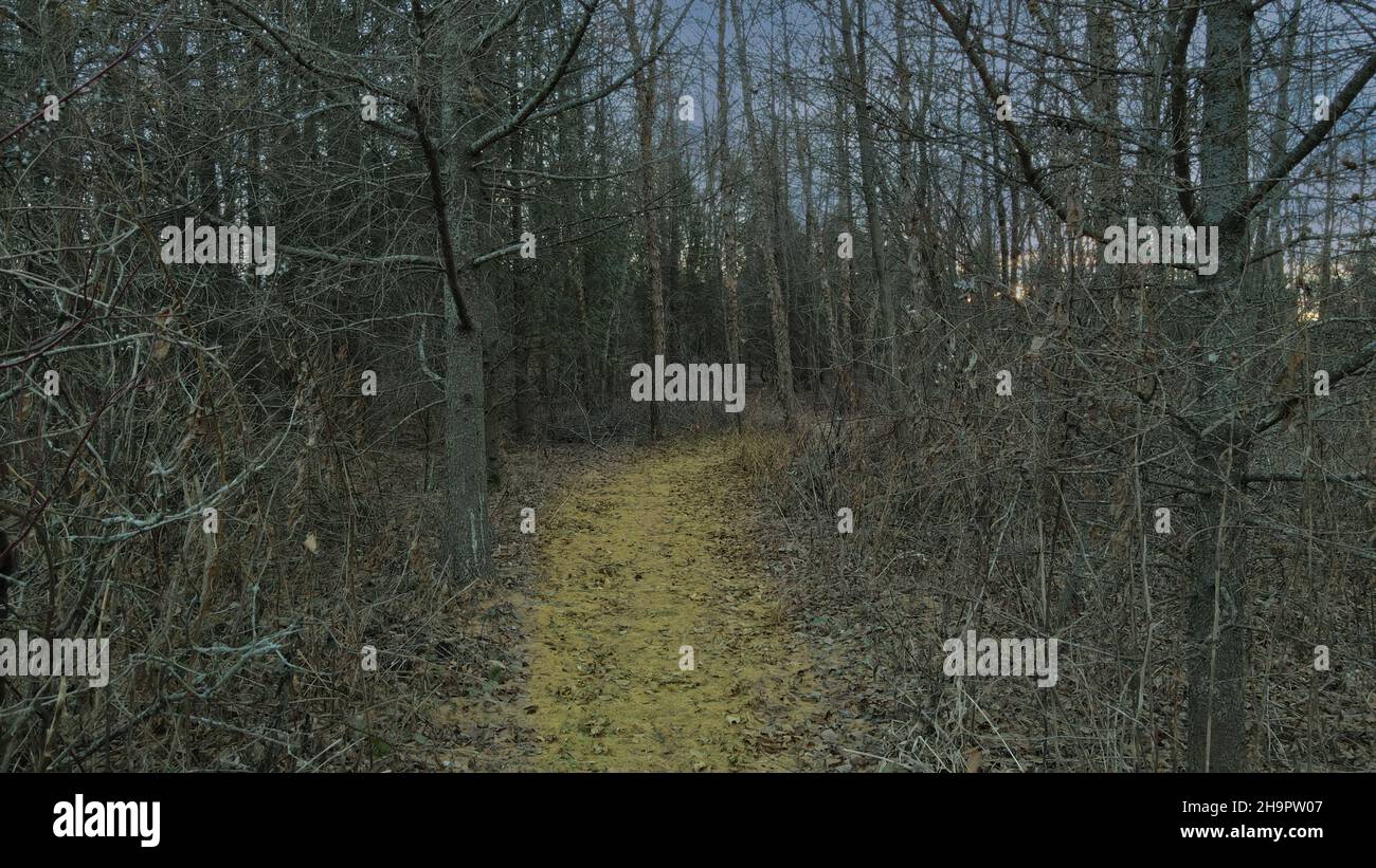 Shortcut footpath hi-res stock photography and images - Alamy