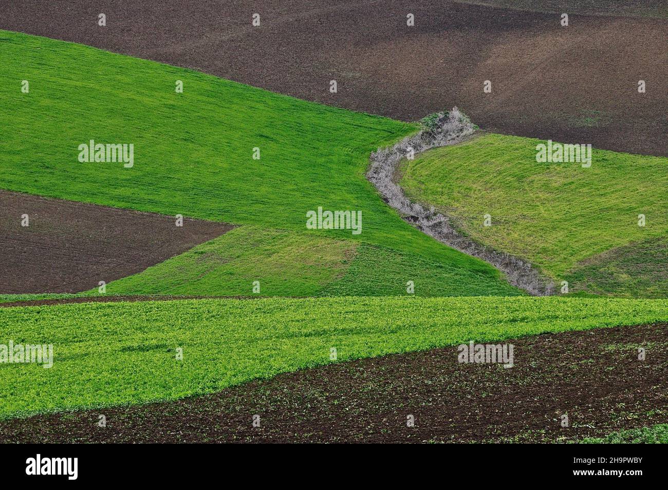 African landscape art hi-res stock photography and images - Alamy