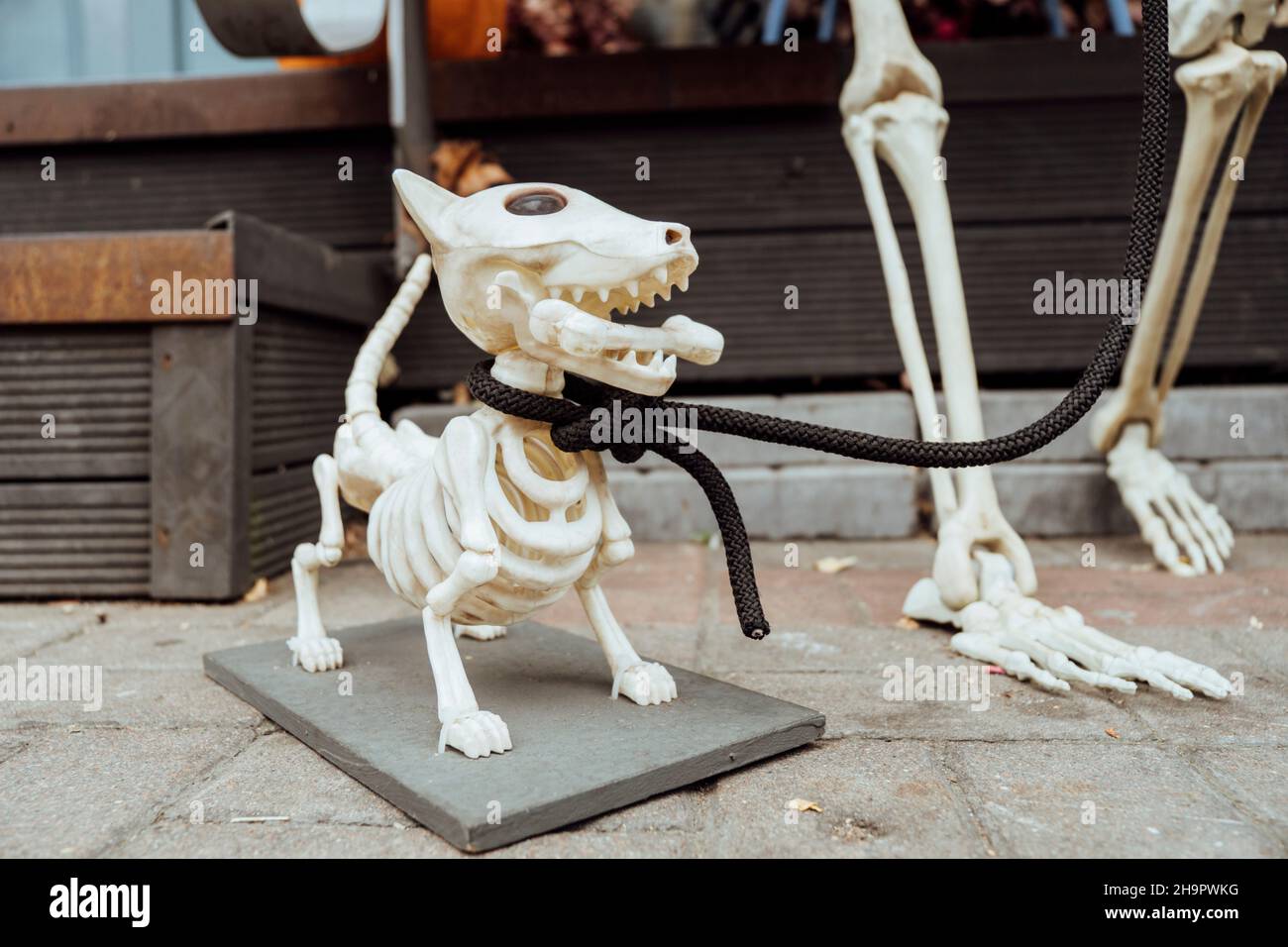 Bone decorations hi-res stock photography and images - Alamy