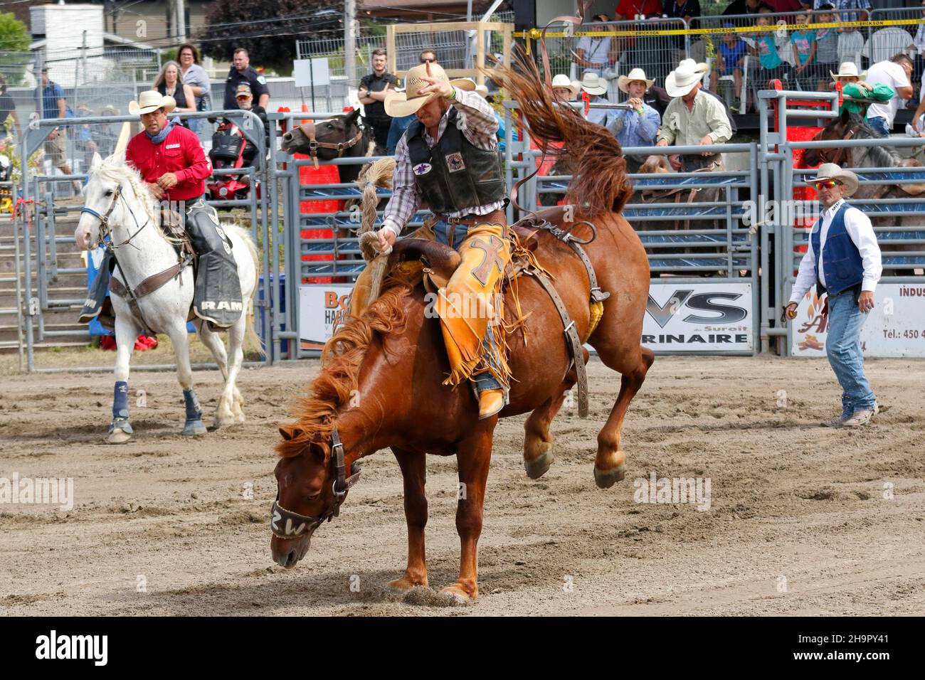 Rodeo competition, rodeo riders, Valleyfield Rodeo, Valleyfield ...