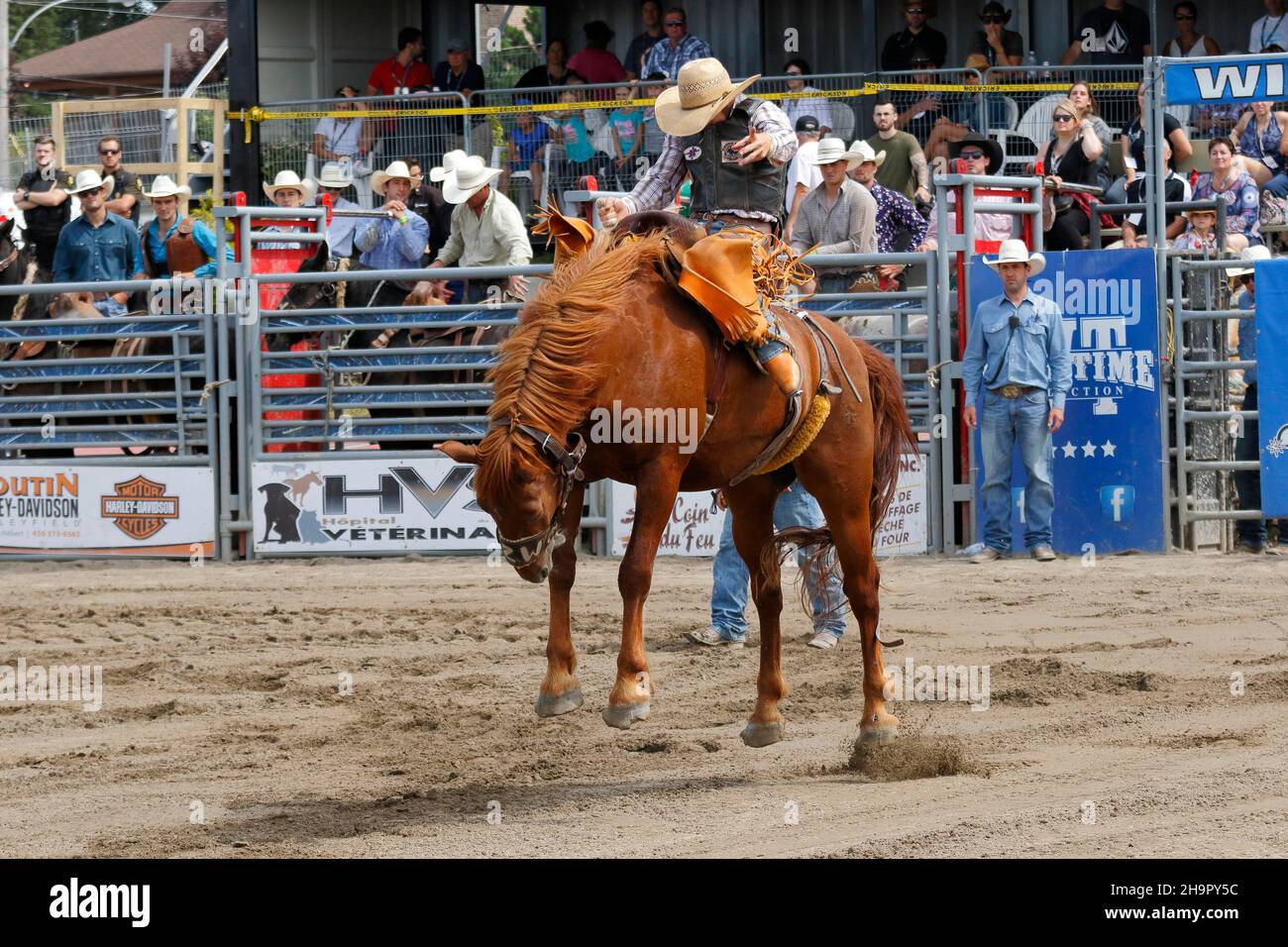 Rodeo competition, rodeo riders, Valleyfield Rodeo, Valleyfield ...