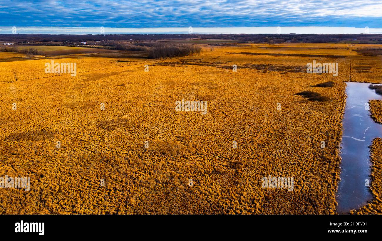 Yellow grass field streams hi-res stock photography and images - Alamy