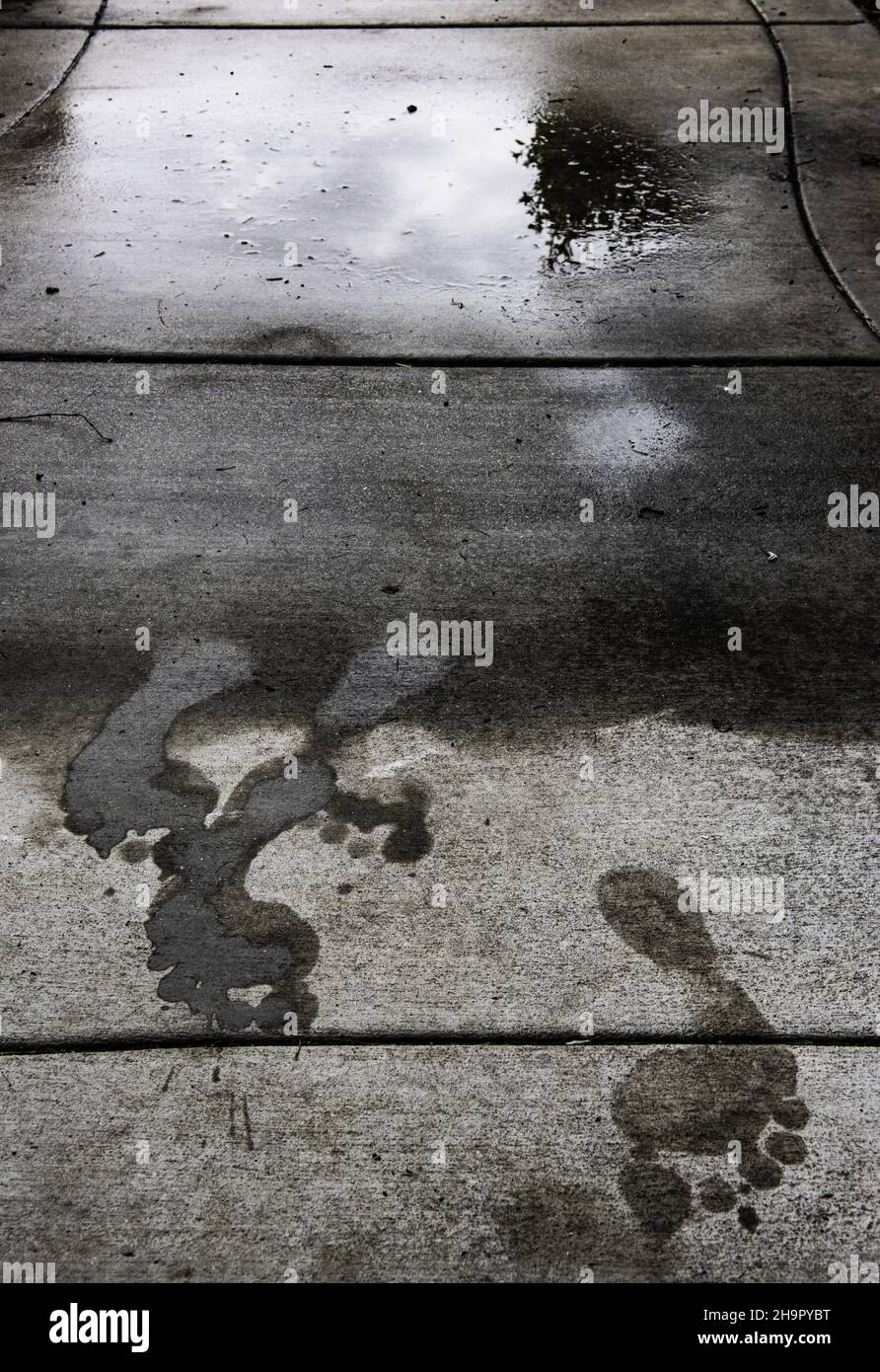 Vertical closeup of the wet footprints on the walkway Stock Photo - Alamy