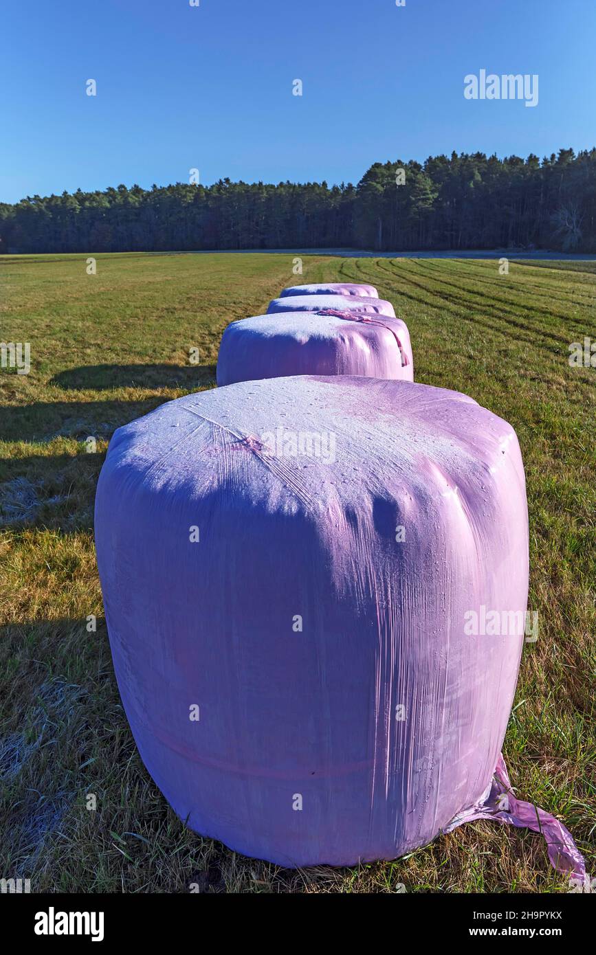 Pink bales hi-res stock photography and images - Alamy