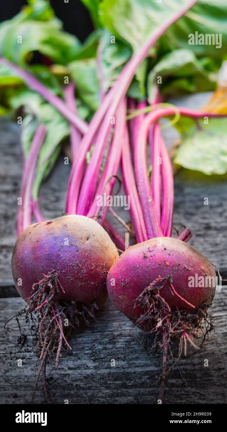 fresh beet roots on wood background Stock Photo - Alamy
