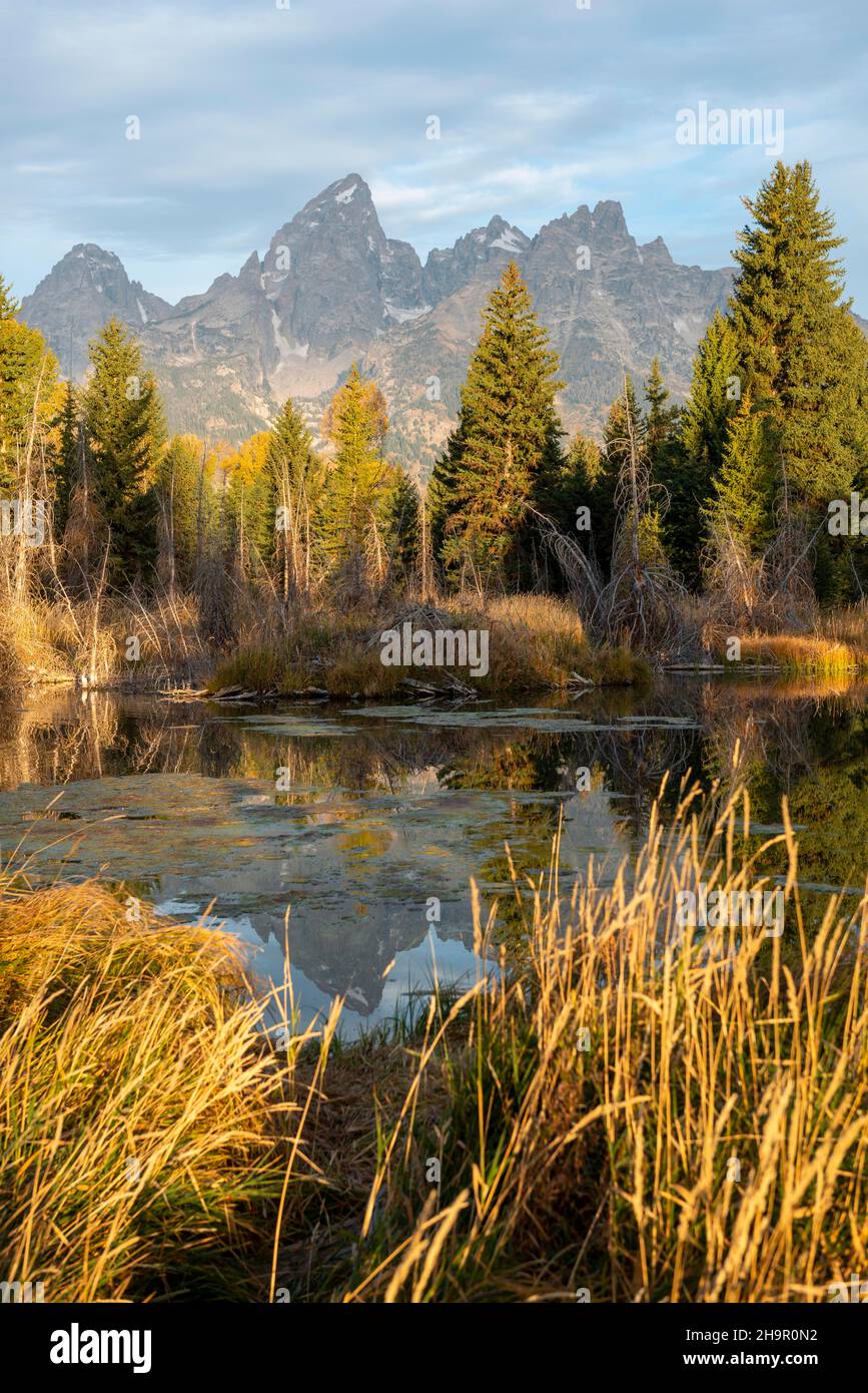 Autumn landscape with Grand Teton Range mountains, in morning light ...