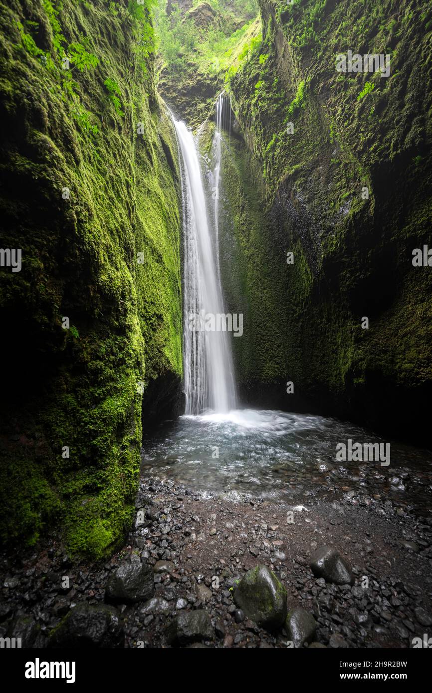 Waterfall, Nauthusagil Gorge, South Iceland, Iceland Stock Photo - Alamy
