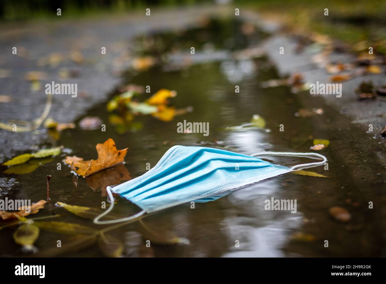 Disposable face mask in puddle on street. Environmental damage and ...
