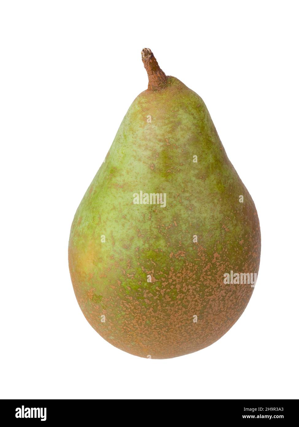 Pear variety Fig pear from Alencon, cutout Stock Photo - Alamy