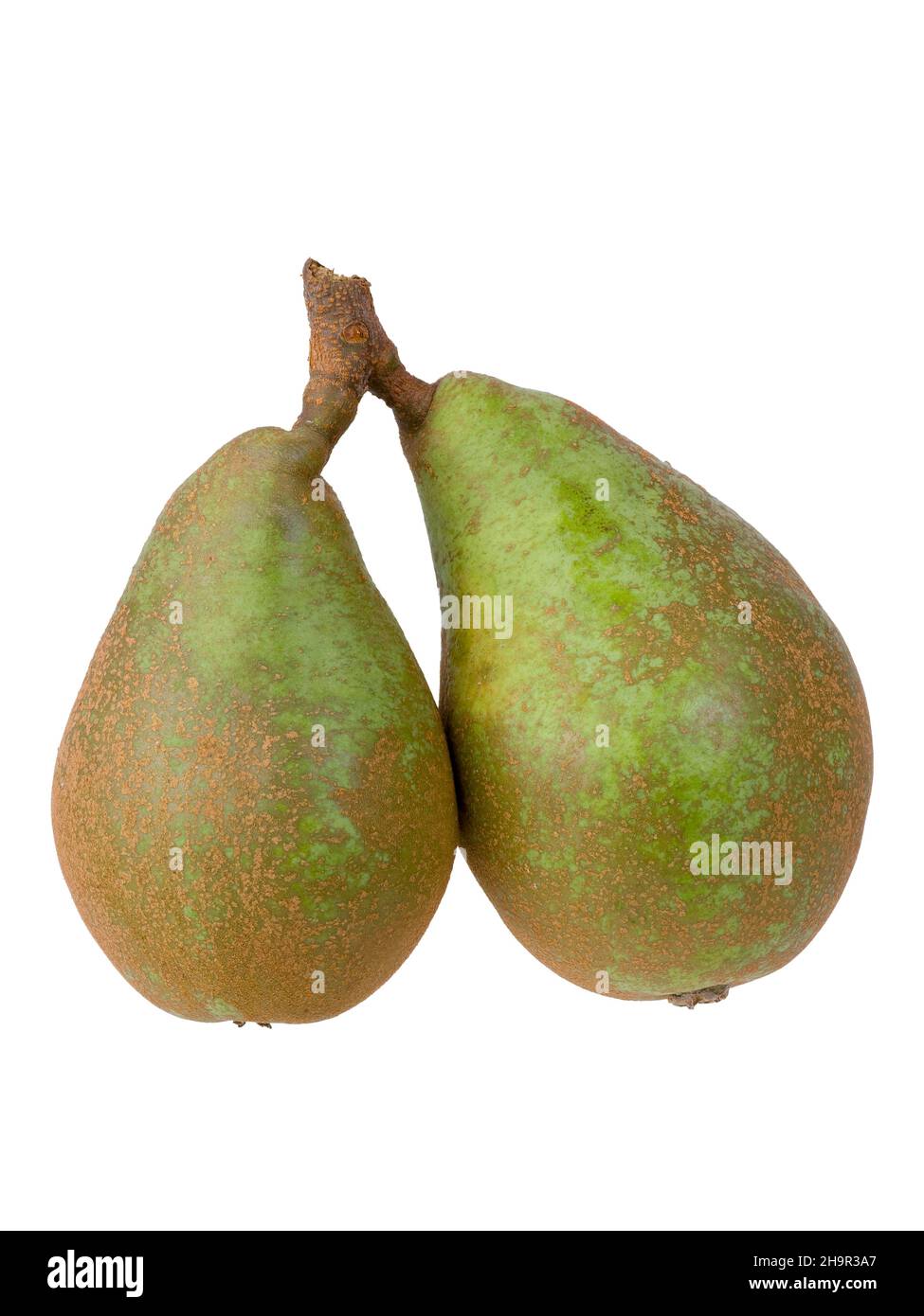 Fig variety hi-res stock photography and images - Alamy