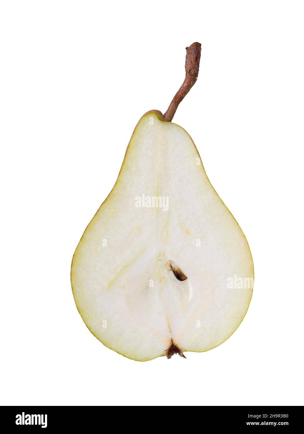 Pear variety Calebasse de Tirlemout, halved, cutout Stock Photo - Alamy