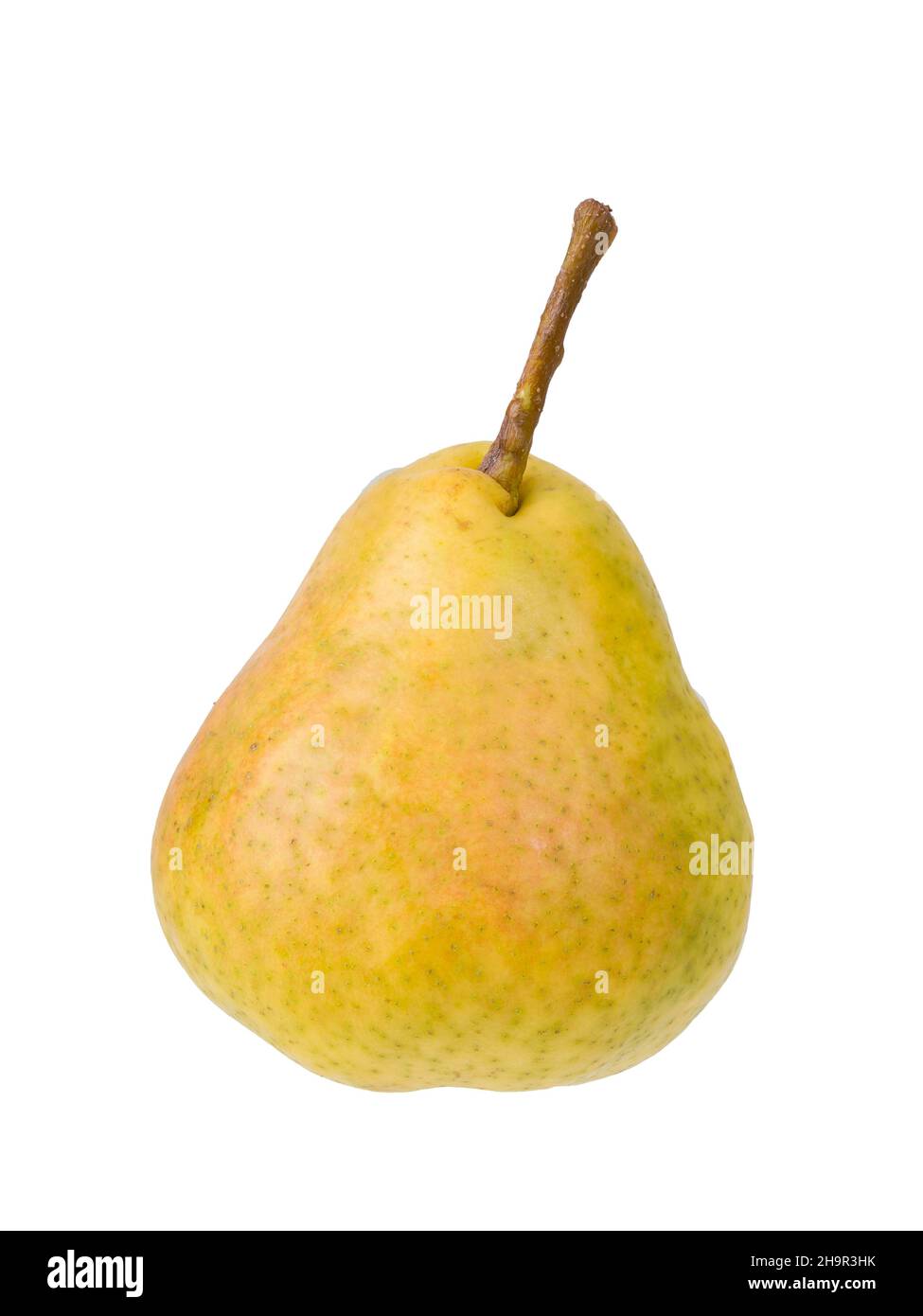 Pear variety Summer apothecary pear, cutout Stock Photo - Alamy