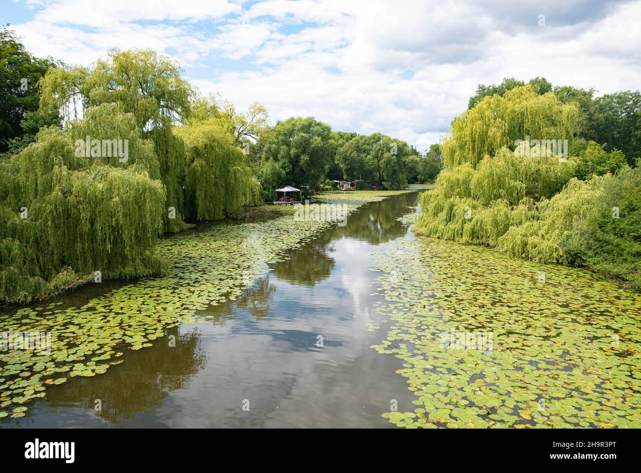 Dove Elbe, Wilhelmsburg, Hamburg, Germany Stock Photo - Alamy