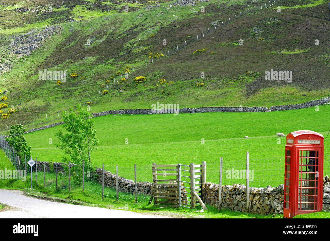 Telephone box in lonely green landscape, meadows and stone walls ...