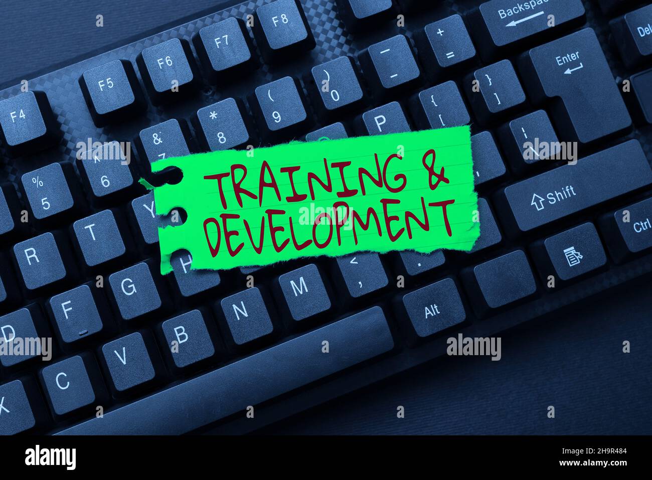 Text caption presenting Training And Development. Word Written on ...
