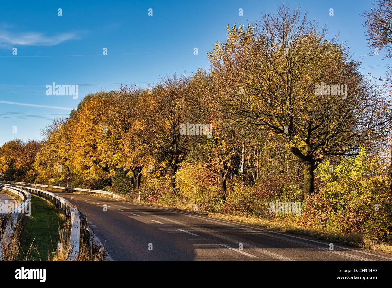 Deutschland, Germany, Bavaria, Bayern, Herbst, Autumn, Laub, Leave ...