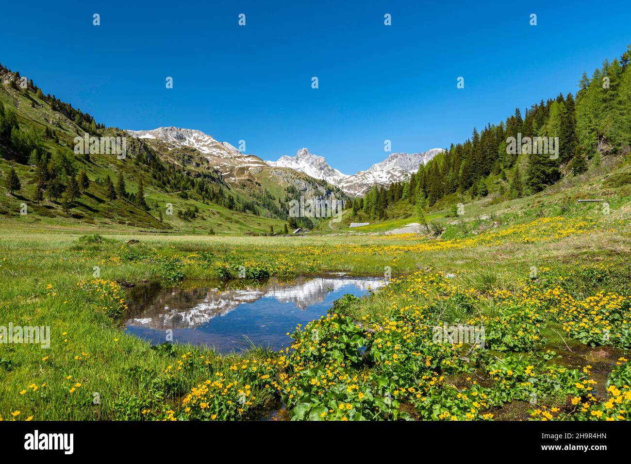 Alpine pasture in the Riedingtal nature Park, Niedere Tauern, Lungau ...