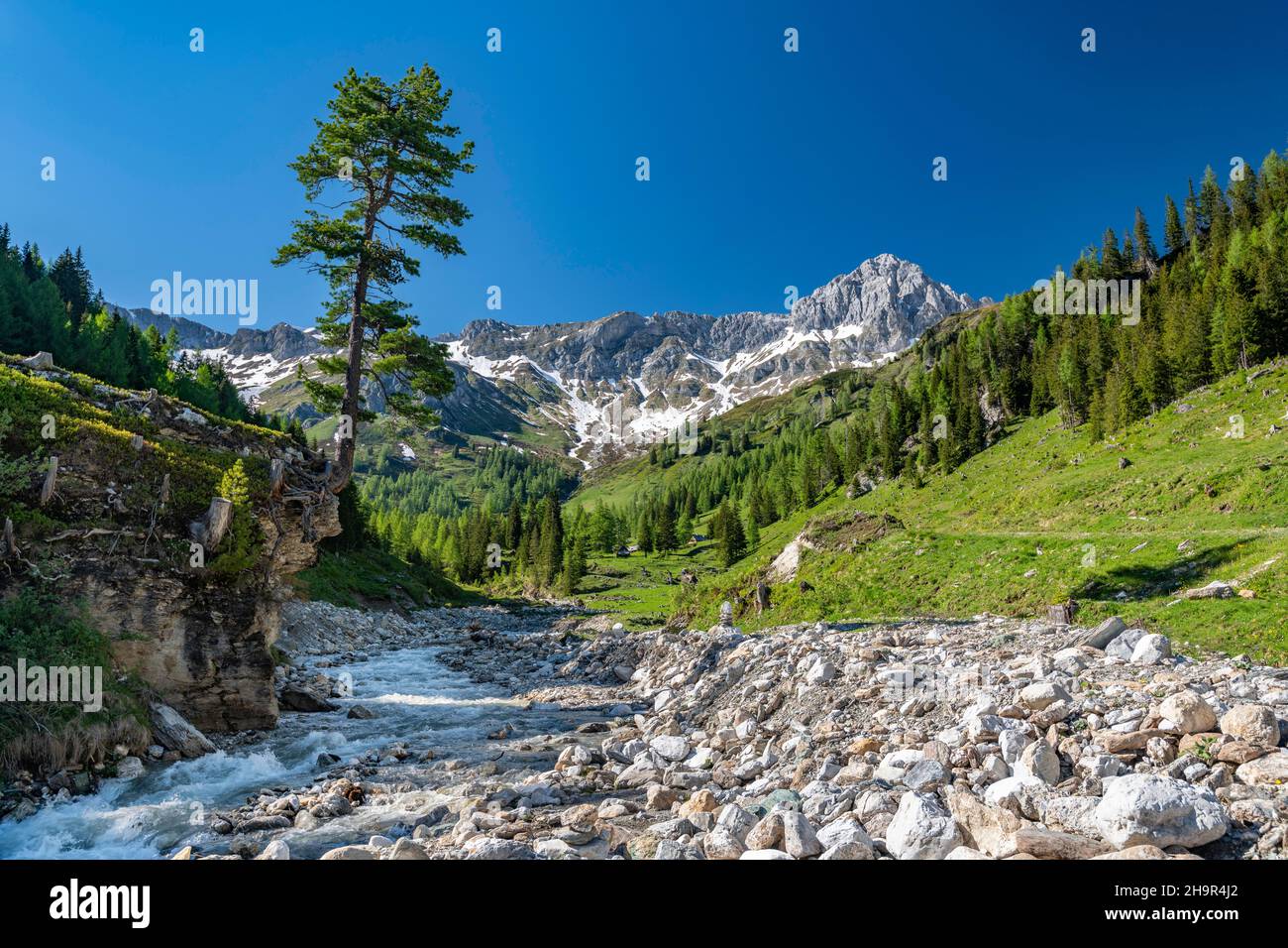 Grosser Kesselbach flows through Alm, Riedingtal nature Park, Niedere ...