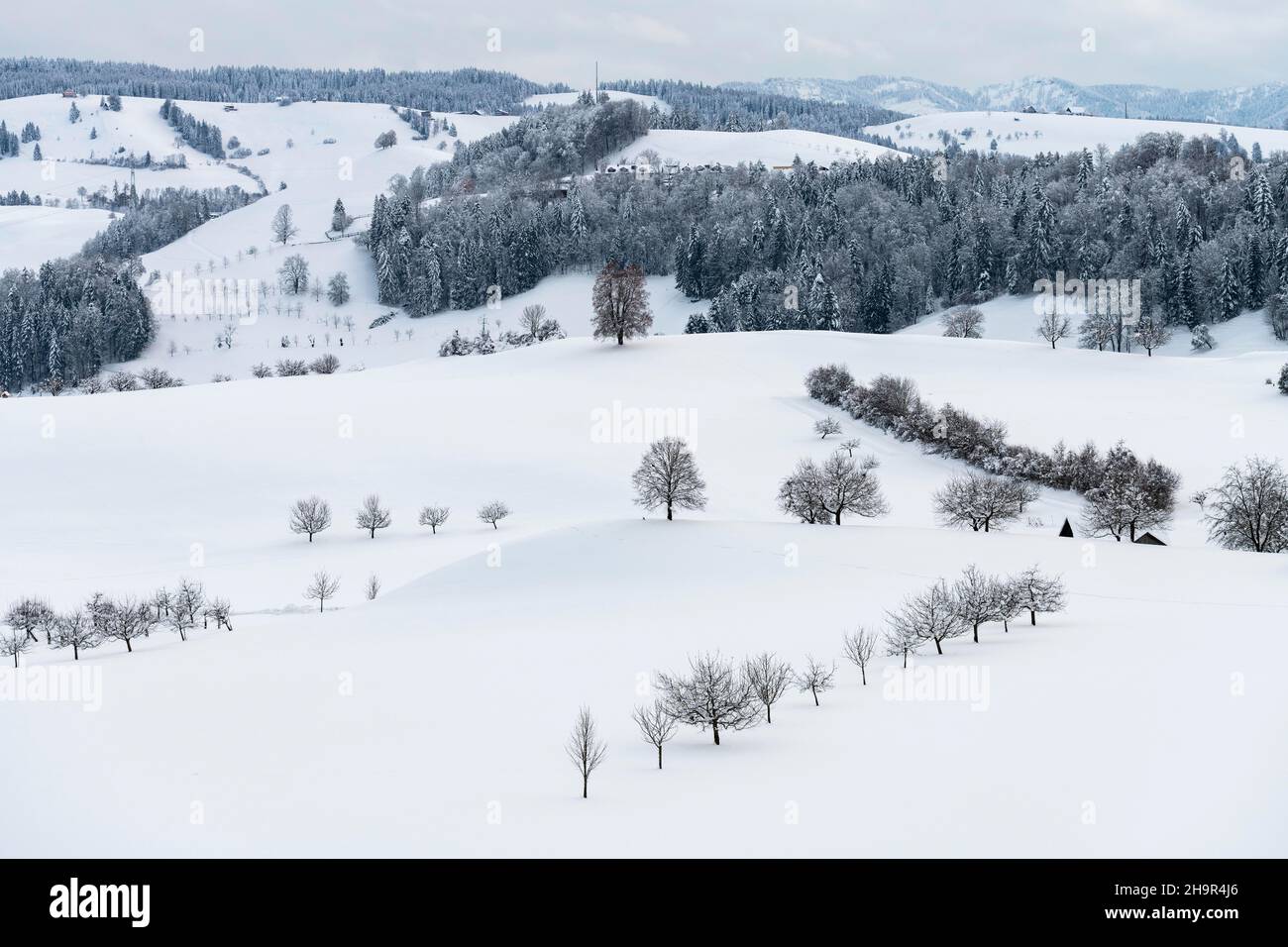Drumlin landscape hi-res stock photography and images - Alamy