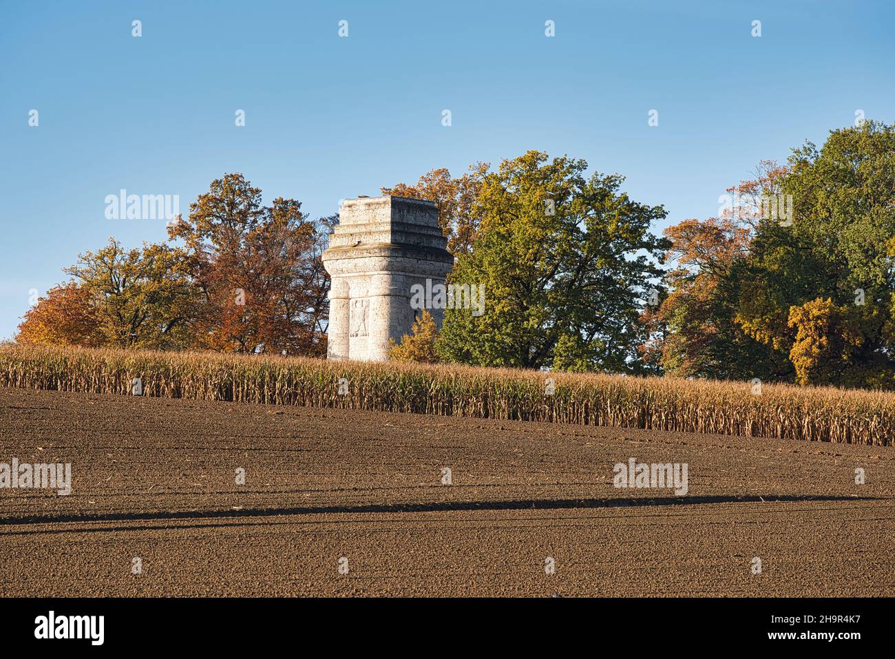 Deutschland, Germany, Bavaria, Bayern, Herbst, Autumn, Laub, Leave ...