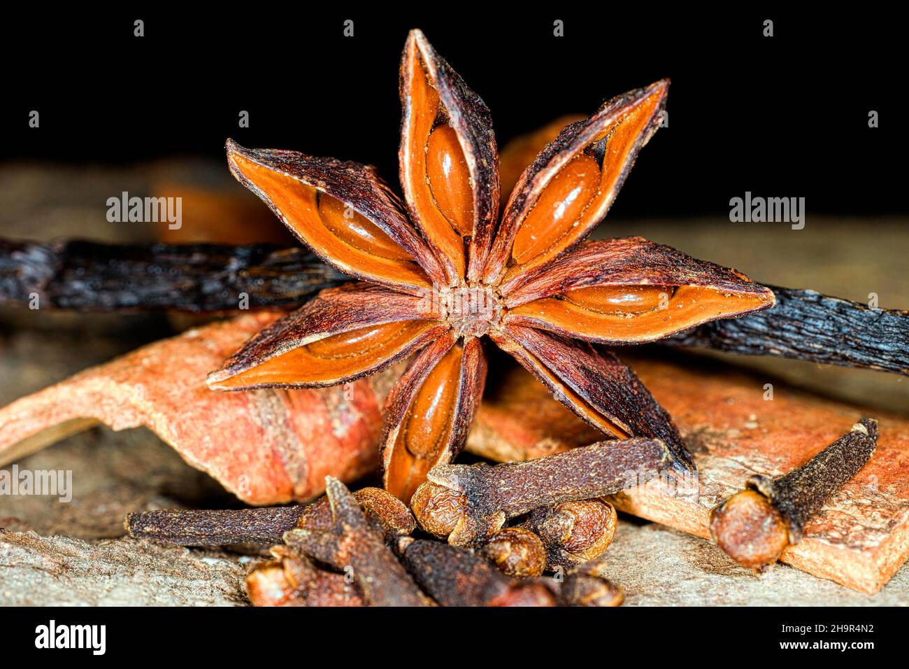 Star anise (Illicium verum), vanilla pod, cloves (Dianthus) and ...