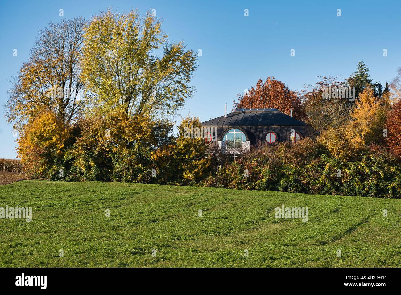 Deutschland, Germany, Bavaria, Bayern, Herbst, Autumn, Laub, Leave ...