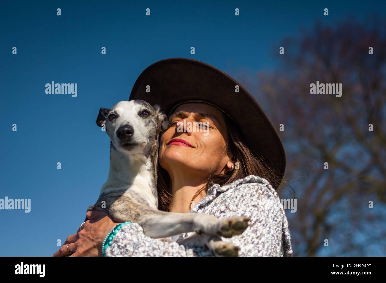 Happy woman love her dog. Friendship between pet owner and her whippet ...